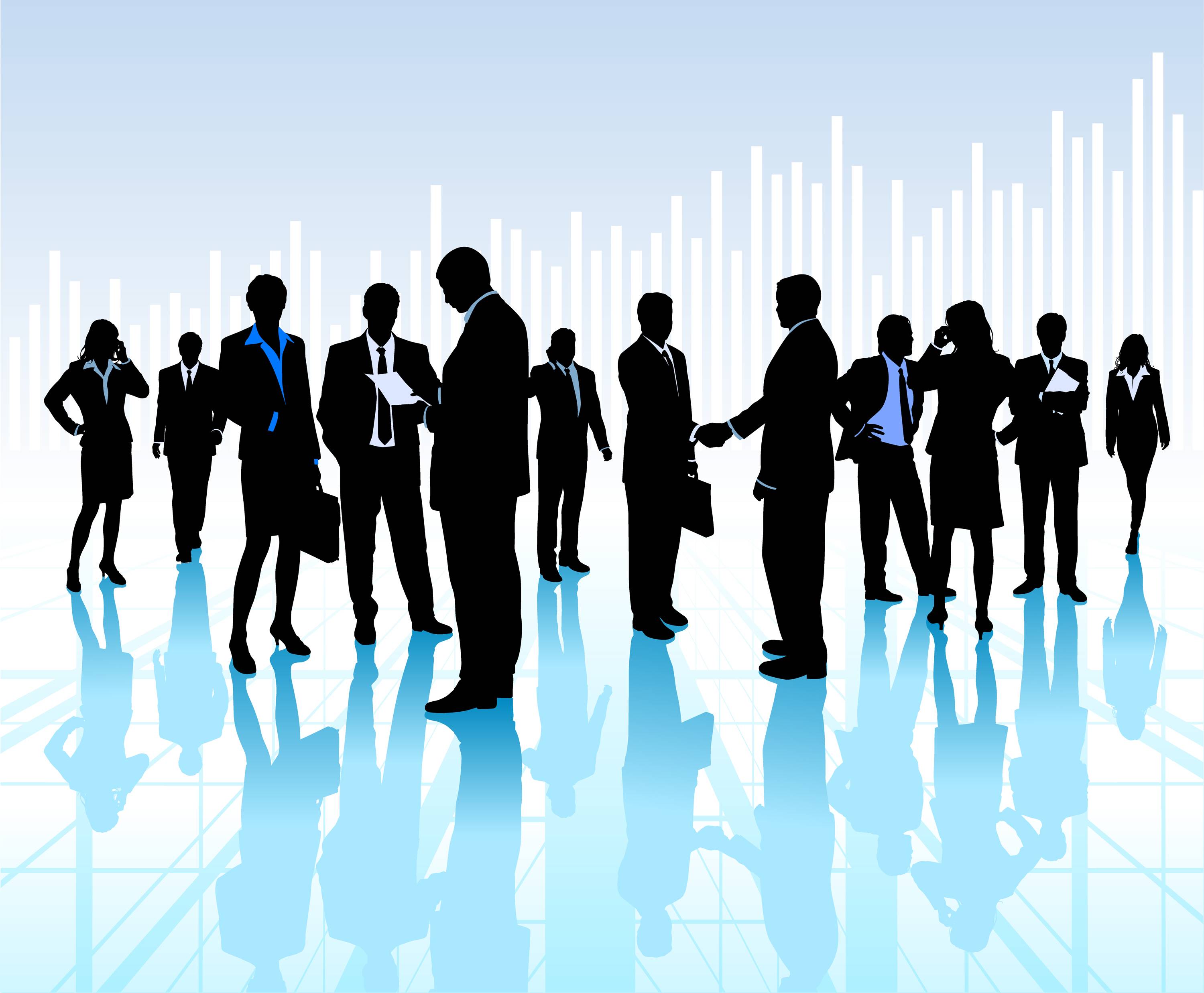 Dubai Blue Chip Software Solution - Blue chip computers